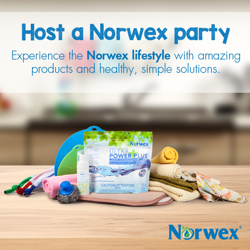How Do I Get Guests to Come to My Norwex Presentation? | Elyse Moore ...