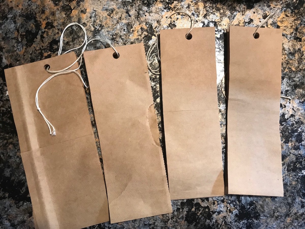 DIY Fly Paper – A Chemical-free Solution | Elyse Moore- Norwex ...